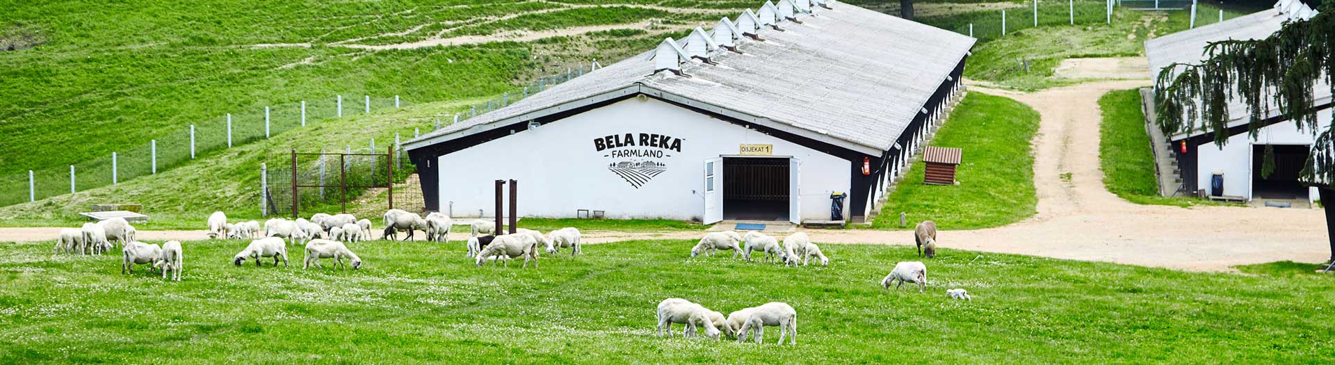 Restoran Bela reka